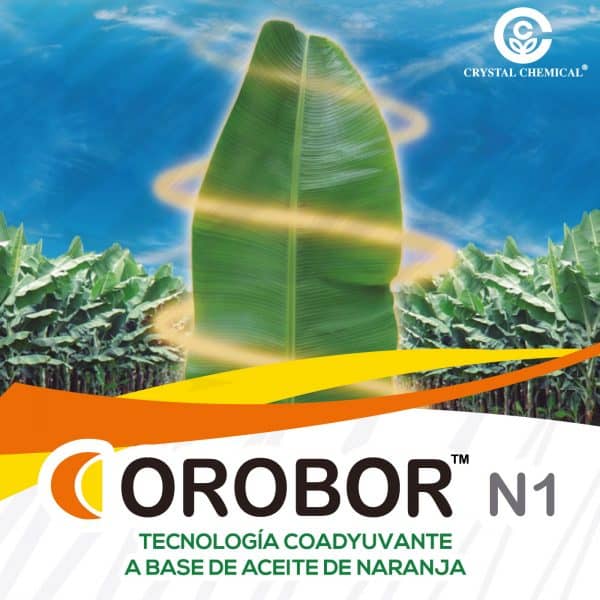 Orobor N1 – Crystal-Chemical